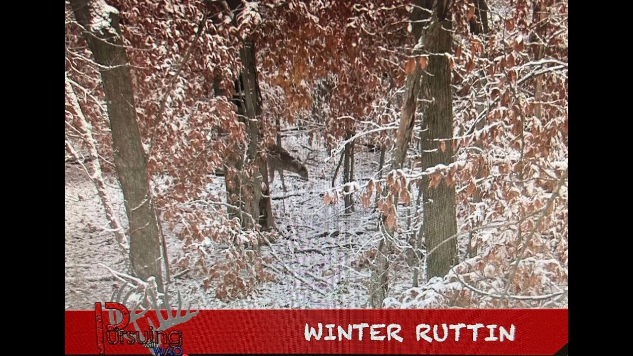 EP5 Winter Ruttin - YouTube