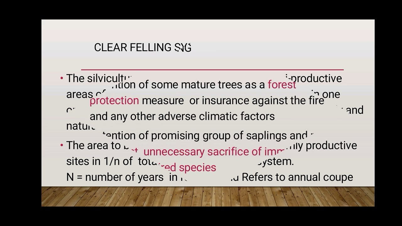 Forest management -Silvicultural system -clear felling system - YouTube