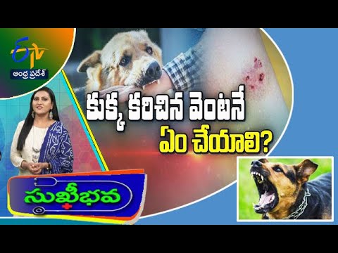 First aid for dog bite | Sukhibhava | 4th March 2023 | ETV Andhra ...