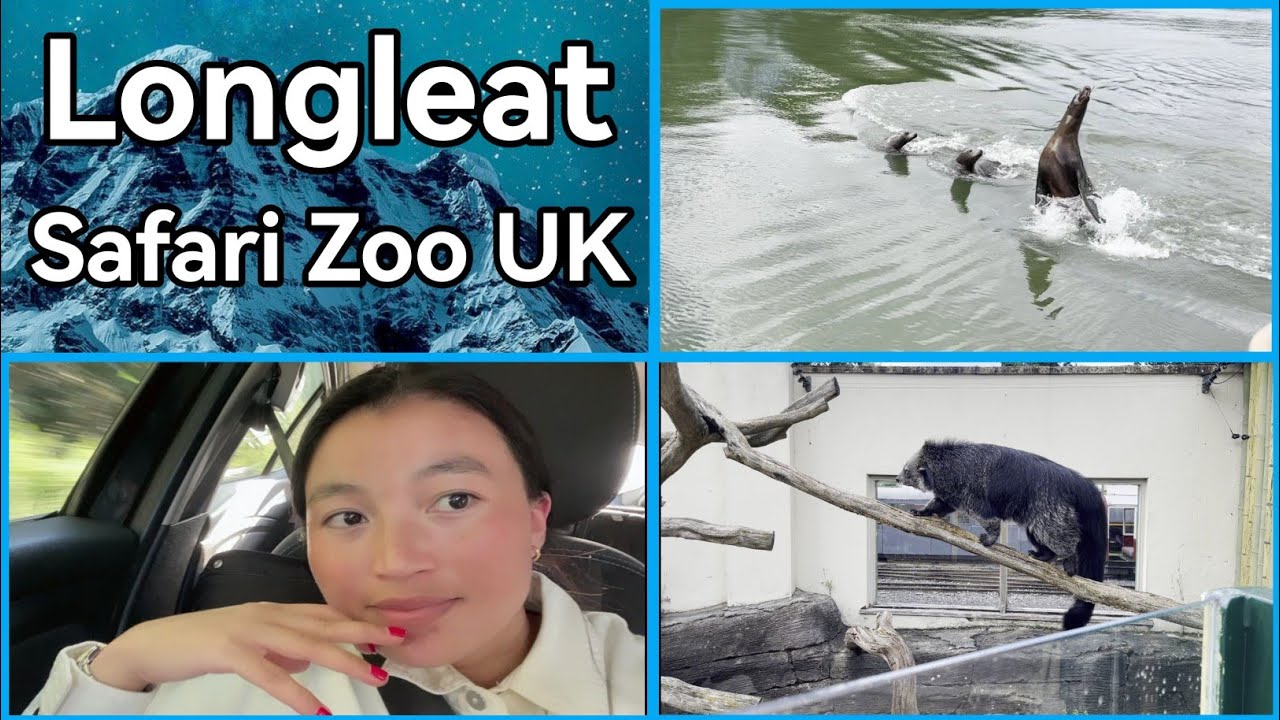 Exploring! Longleat Safari Zoo, UK - YouTube