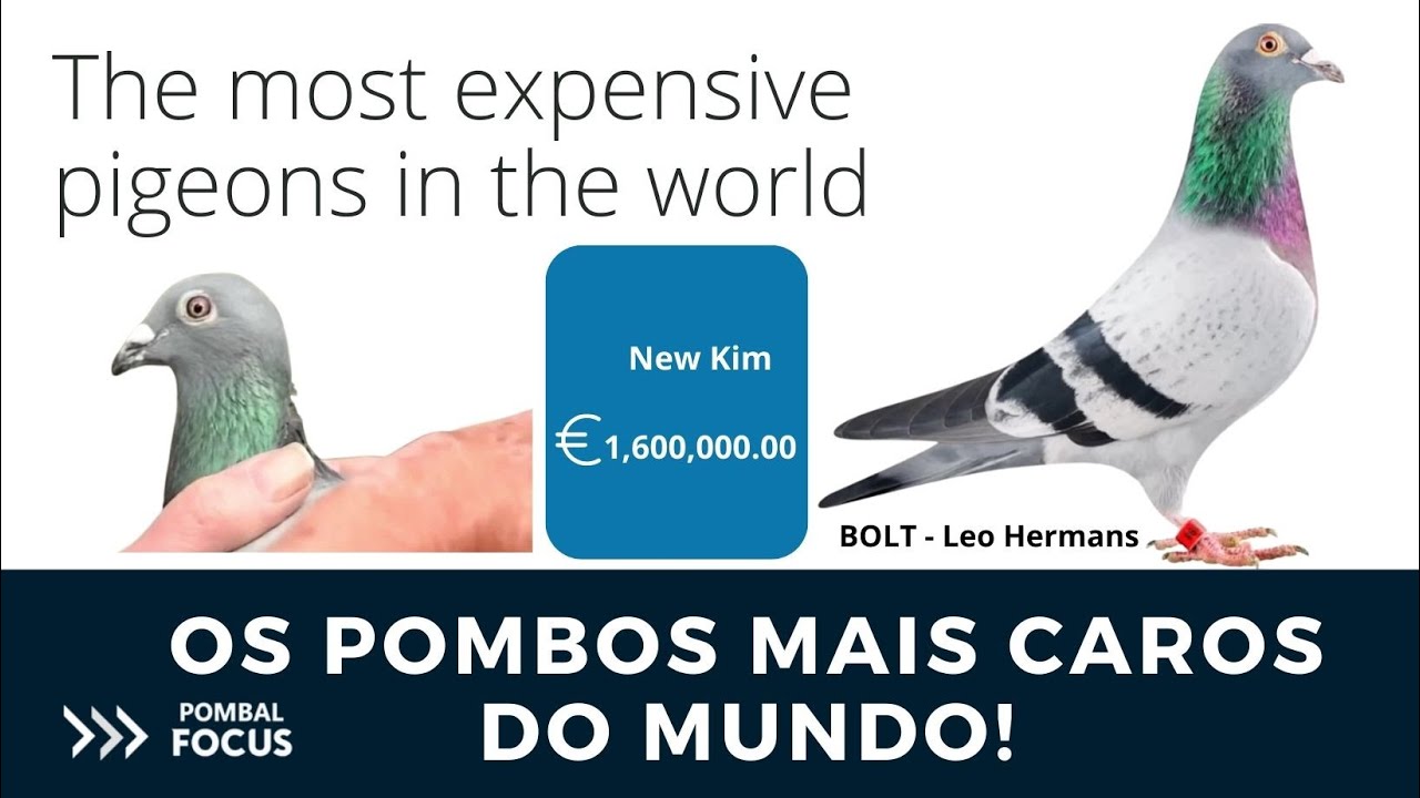 Pombos