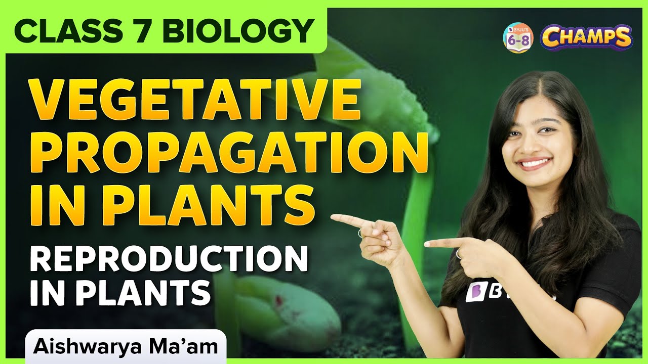 Vegetative Propagation in Plants | Reproduction in Plants | Class 7 ...