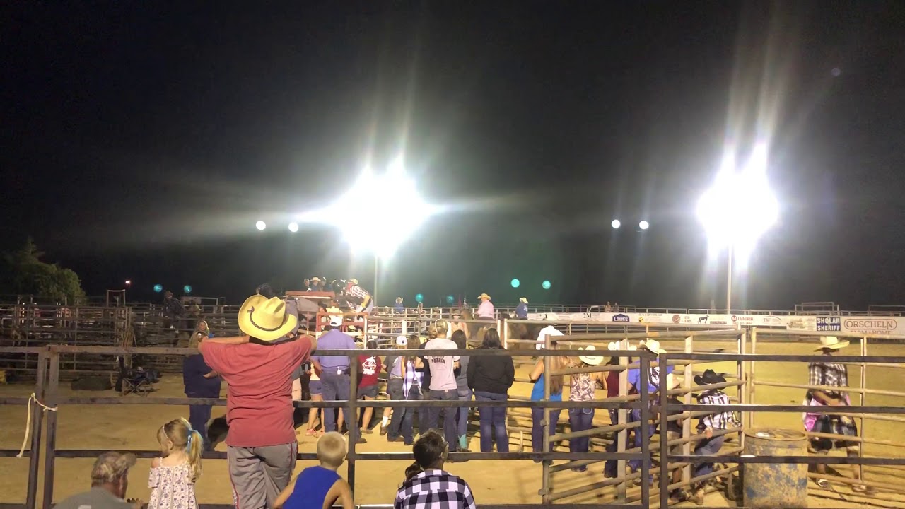 Bullwhip Rodeo Armstrong Arena Ky - YouTube