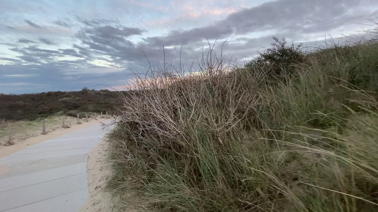 Opwekking 388 De woestijn zal bloeien als een roos - YouTube