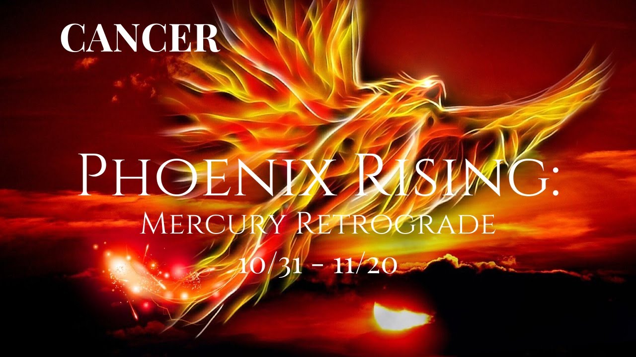 CANCER: Phoenix Rising 10/31 - 11/20 | Mercury Retrograde - YouTube
