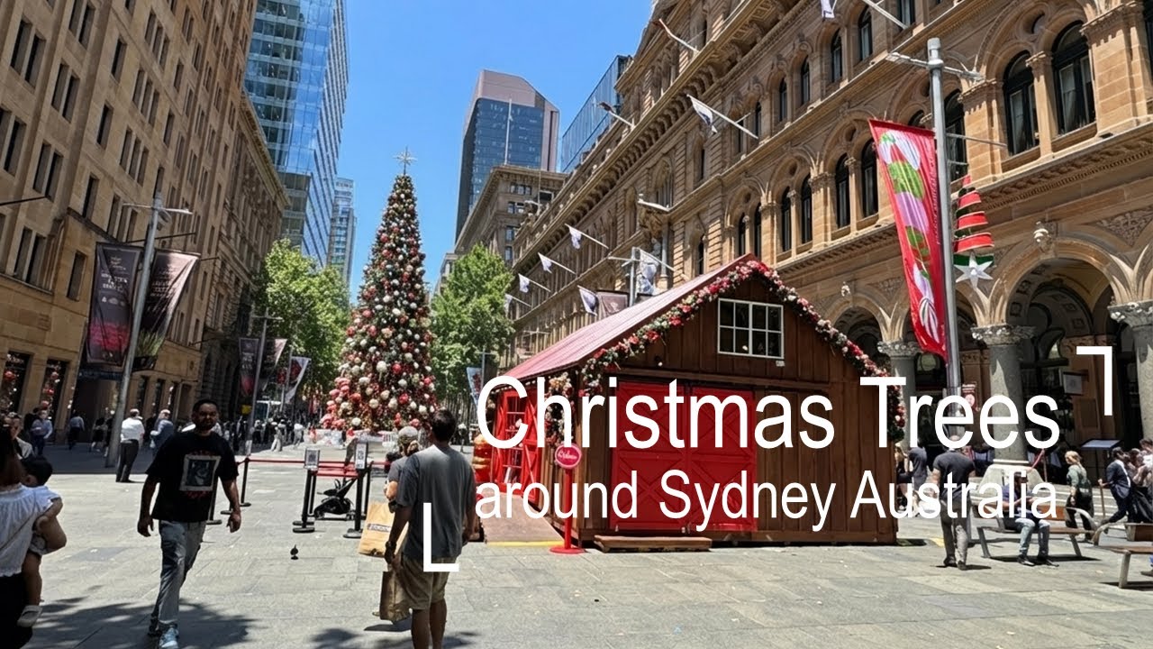 Explore Sydney CBD Australia for Christmas Trees | 4K Walking Tour ...