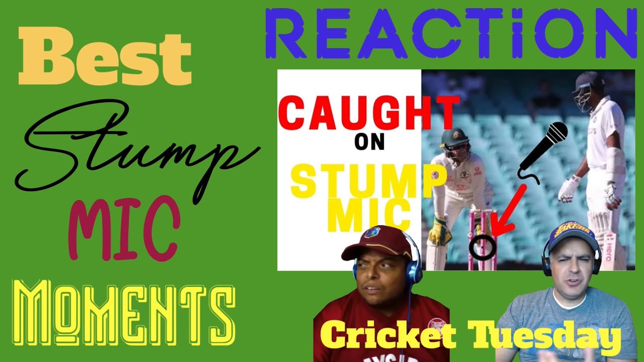 Best Stump Mic Moments - Cricket REACTION - YouTube