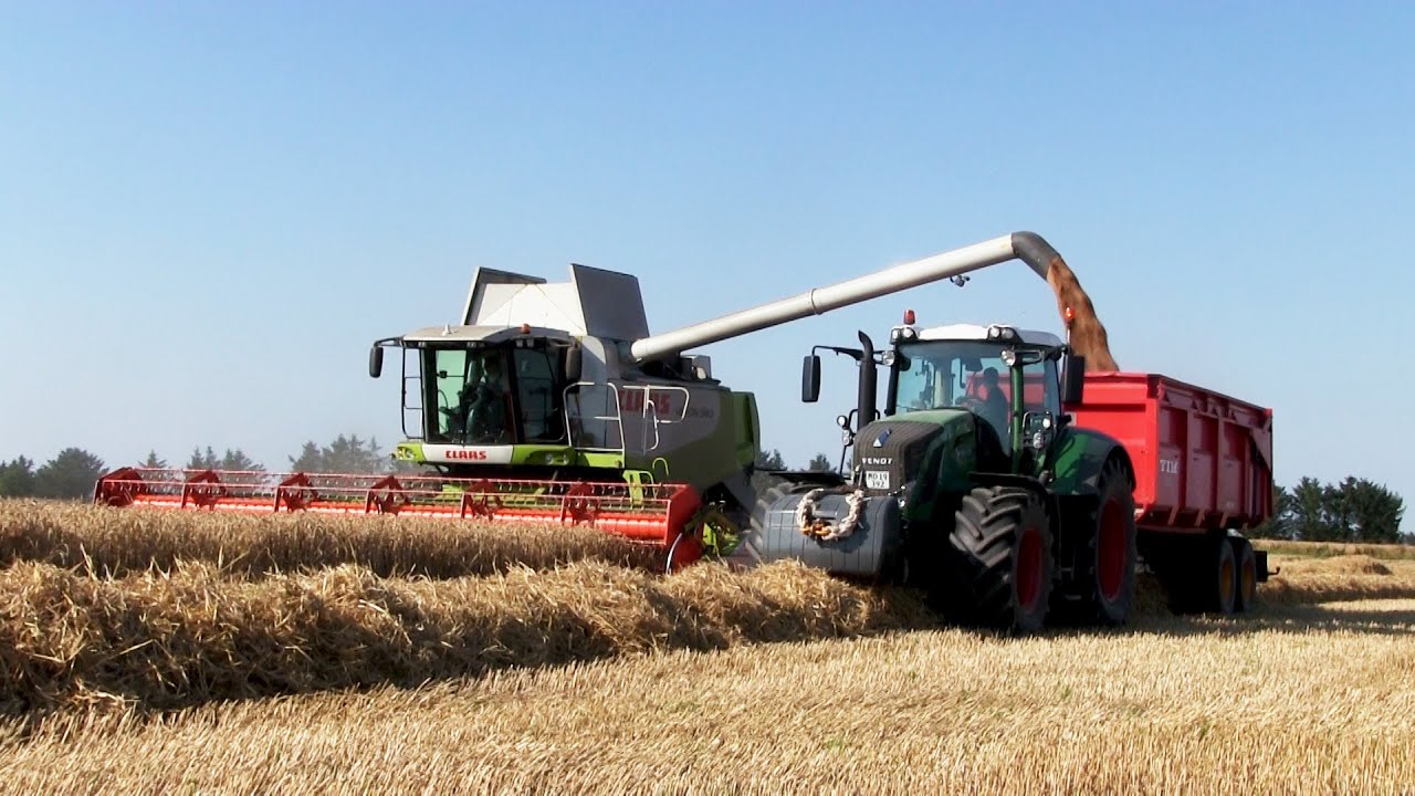Wheat Harvest with Claas Lexion 560 | Fendt 828 Vario - YouTube