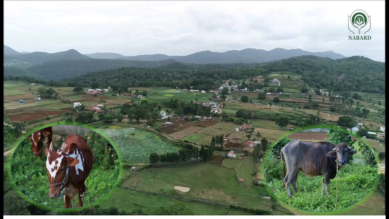 LEDP Programme - YouTube