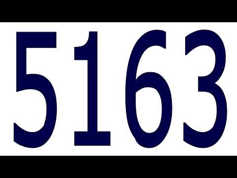 5163