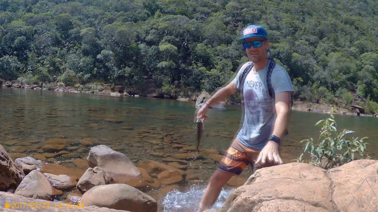 N °1 - Paco Fishing - Jungle perch - Nouvelle Calédonie - Dumbéa ...
