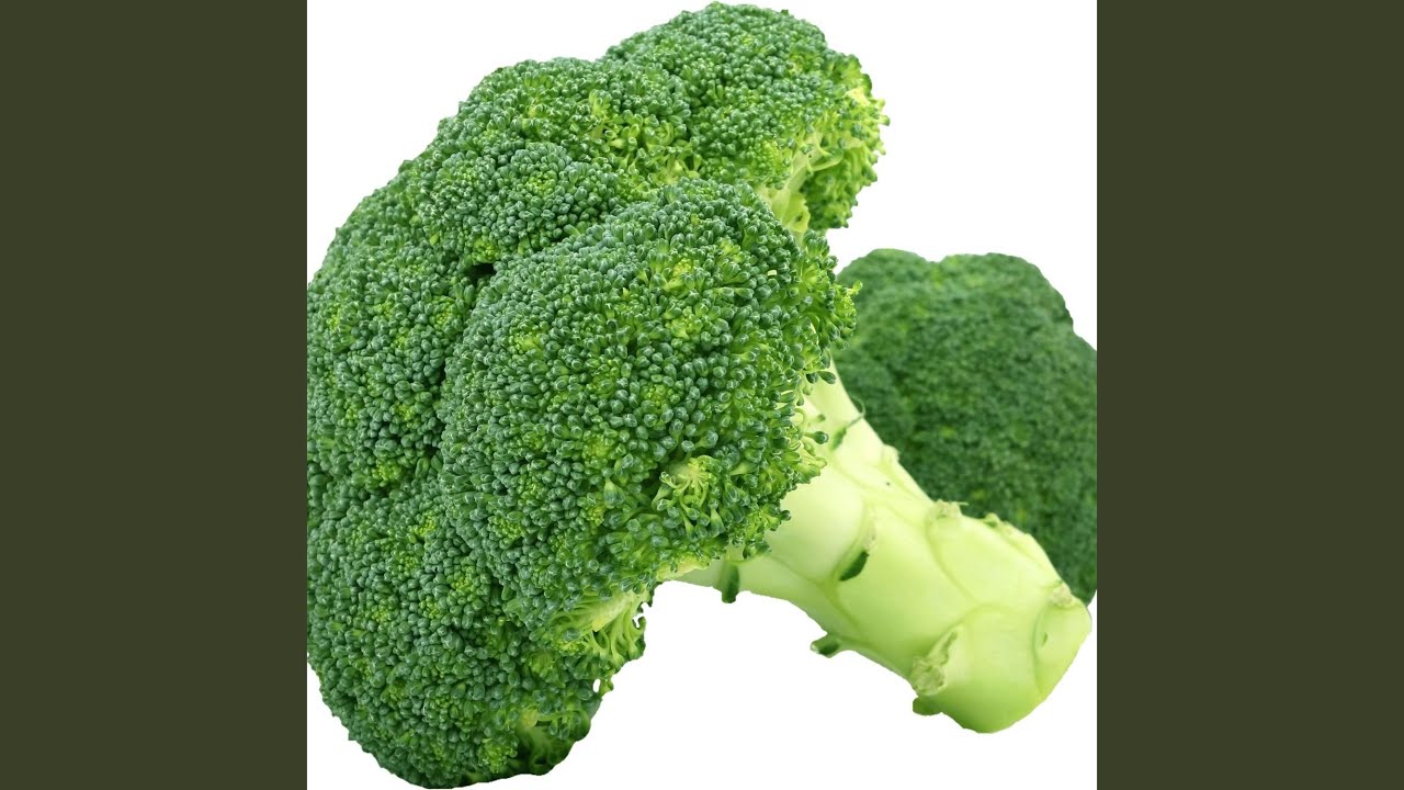 The Black Predators Order - YouTube