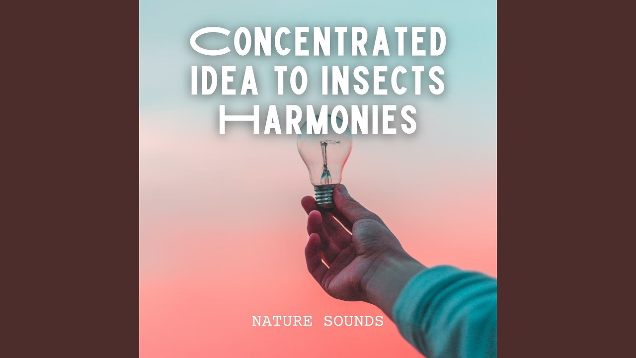 Harmonious Hive Mind - YouTube