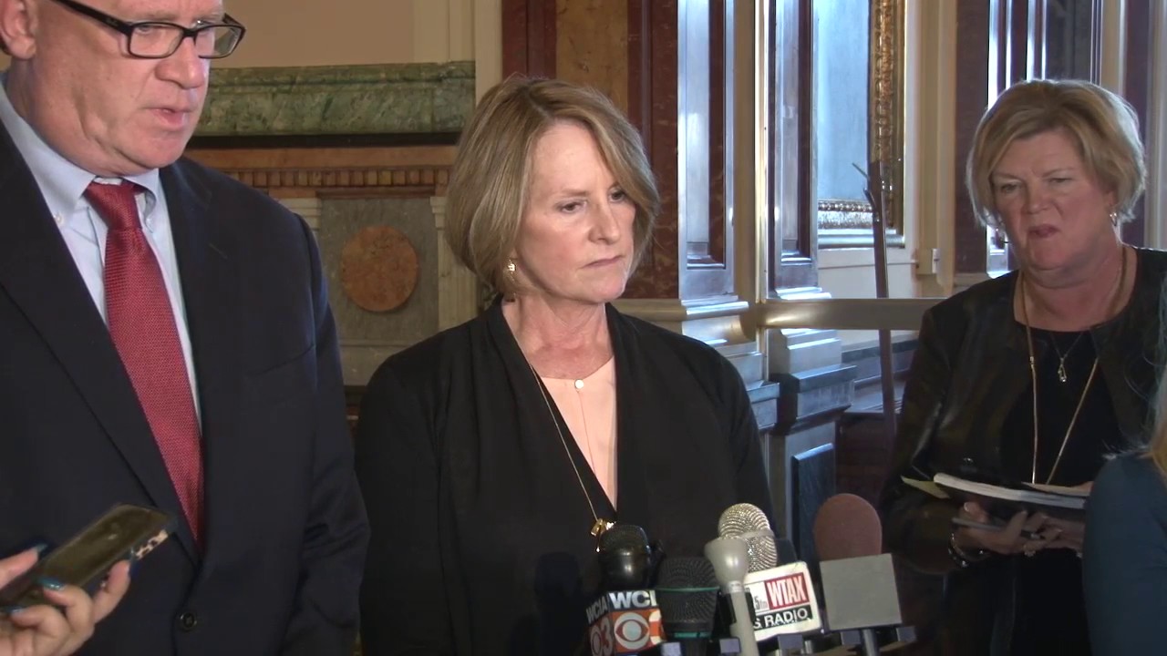 Rep. Jim Durkin, Sen. Christine Radogno press conference, 11-14-2016 ...