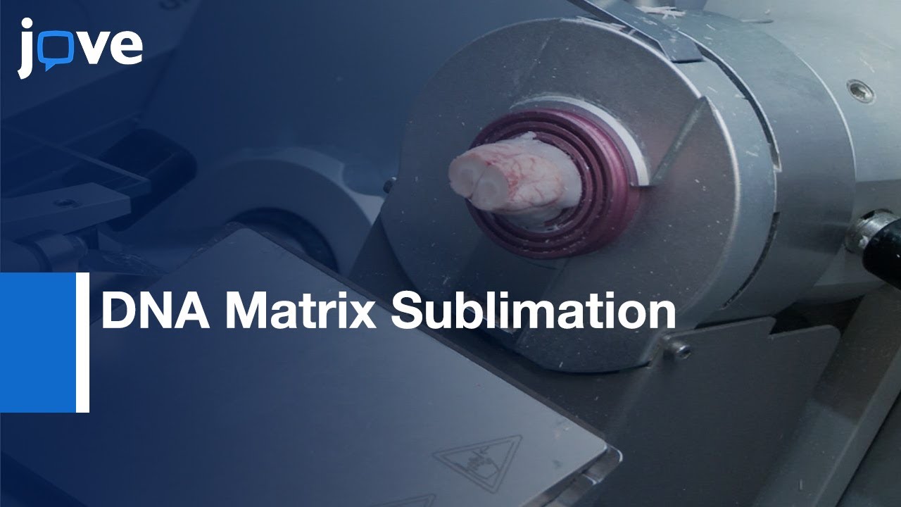 DNA Matrix Sublimation to Visualize Gangliosides for Spectrometry ...