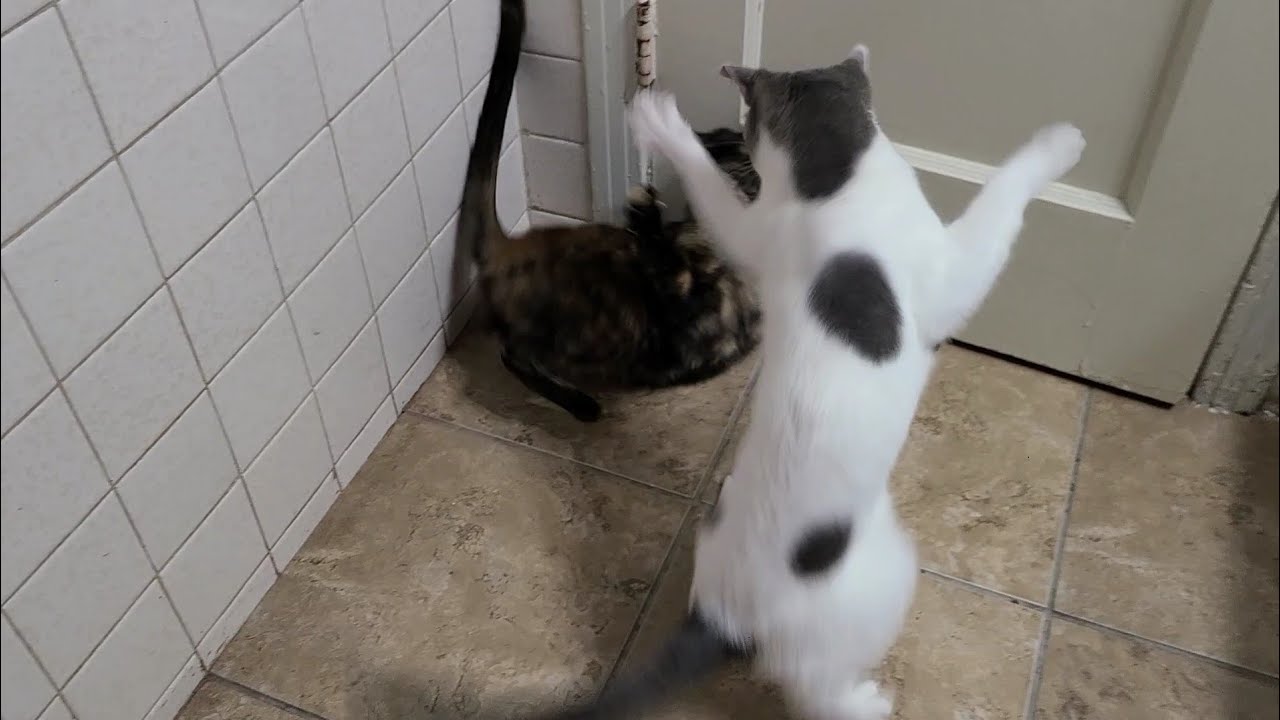 put that hand down, put it down - YouTube