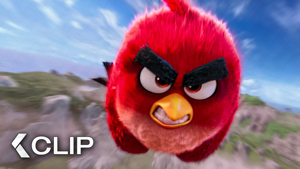 El plan de Red para detener al Cerdo - ANGRY BIRDS: La película Clip ...