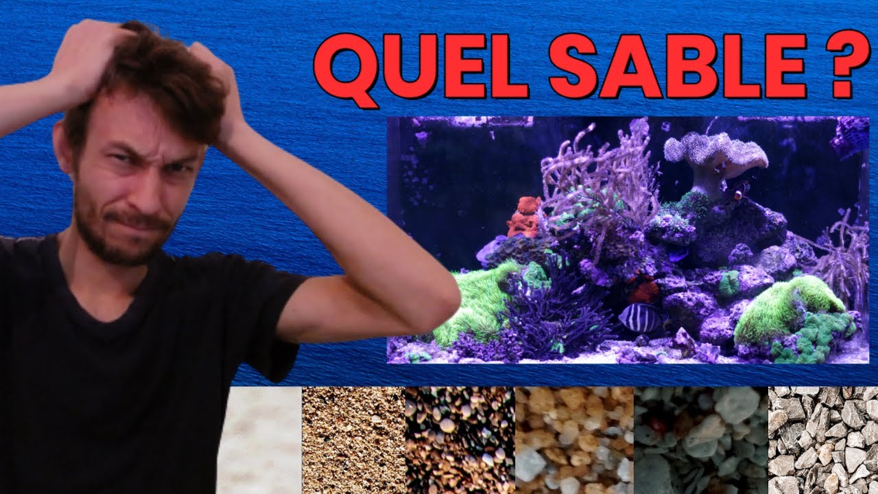 EP.5 Quel sable pour aquarium récifal choisir - Substrat pour eau de ...