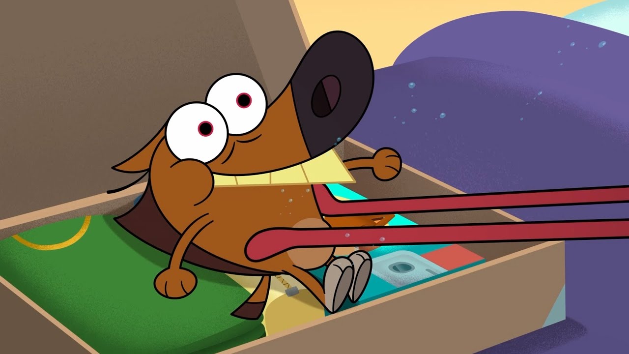 Packing for Bernie | NEW The Adventures of Bernie | Zig & Sharko ...