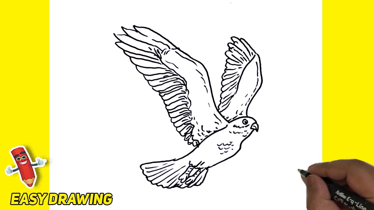 Flying Eagle line drawing tutorial easy and Step by step | Eagle ...