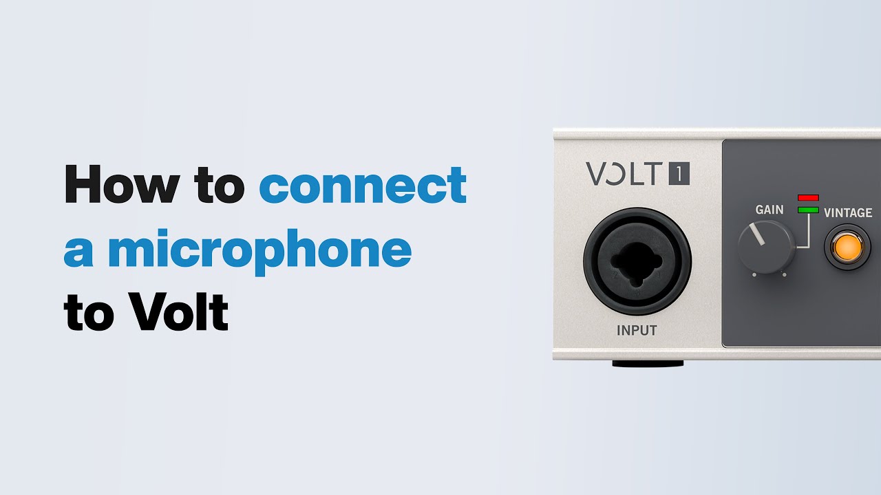 UA Support: How to Connect a Microphone to Volt USB Audio Interface ...