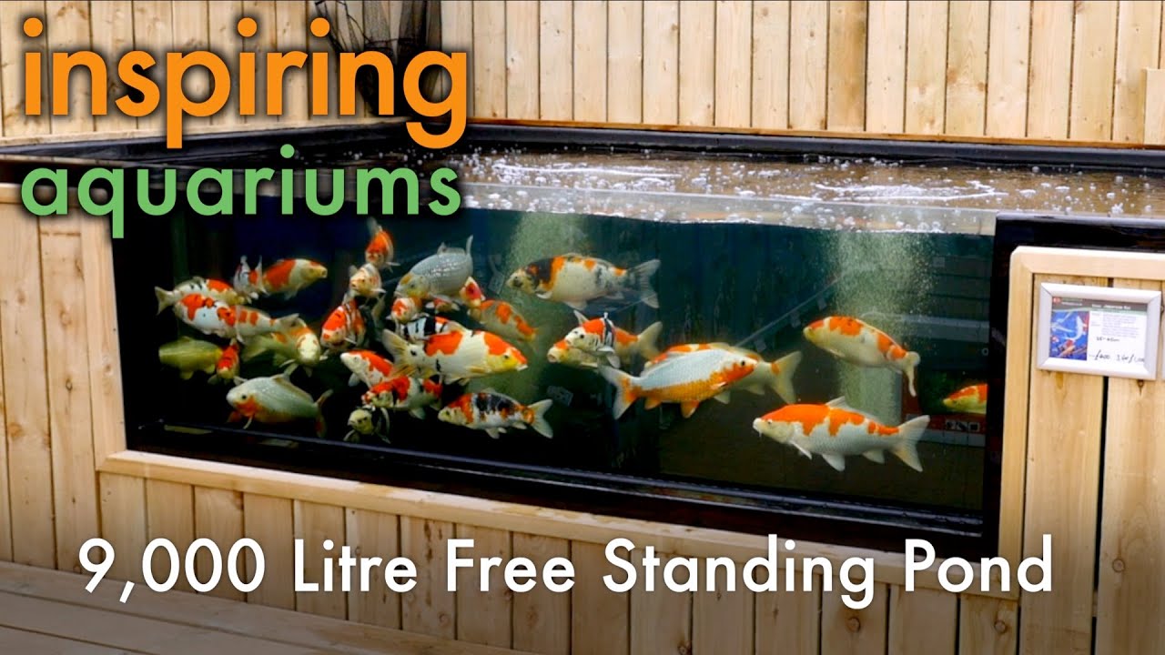 Inspiring Aquariums - 9,000 Litre Free Standing Pond - YouTube