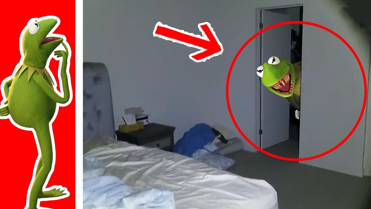 RANA RENE Captados en Camara - YouTube