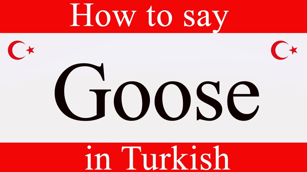 Learn Turkish How To Say Goose In Turkish Learn Turkish Language learn-turkish-how-to-say-goose-in-turkish-learn-turkish-language
