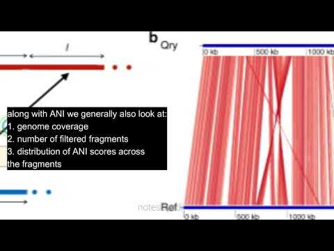 Average Nucleotide Identity | multiprocessing in python - YouTube
