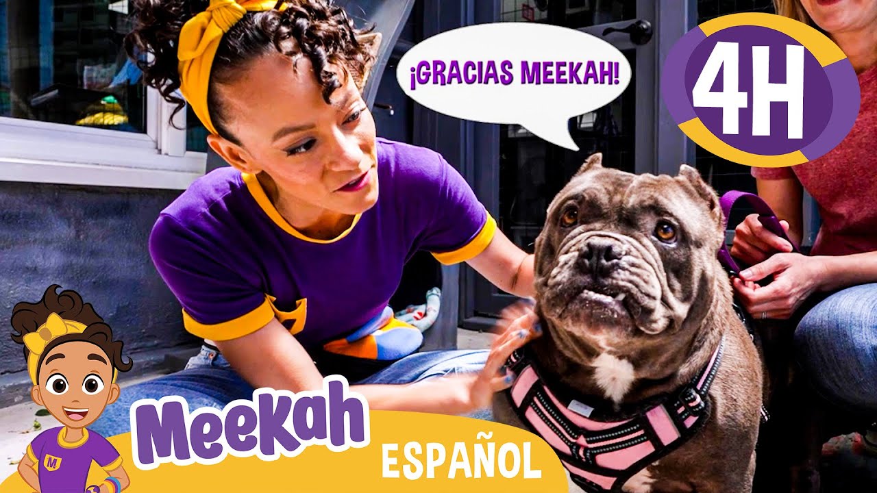 ¡Meekah pasa el tiempo con los animales | 💜¡Hola Meekah!💜Amigos de ...
