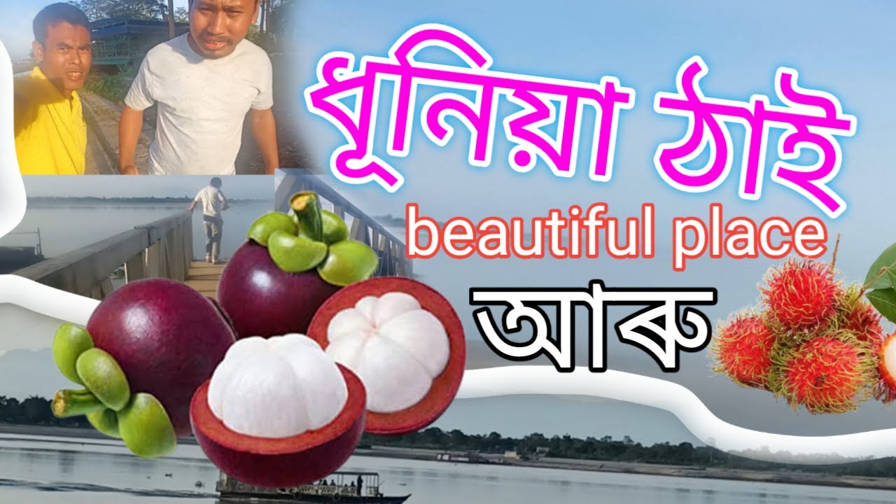 Beautiful picnic place in Assam // best picnic point in Guijan Biswajit ...