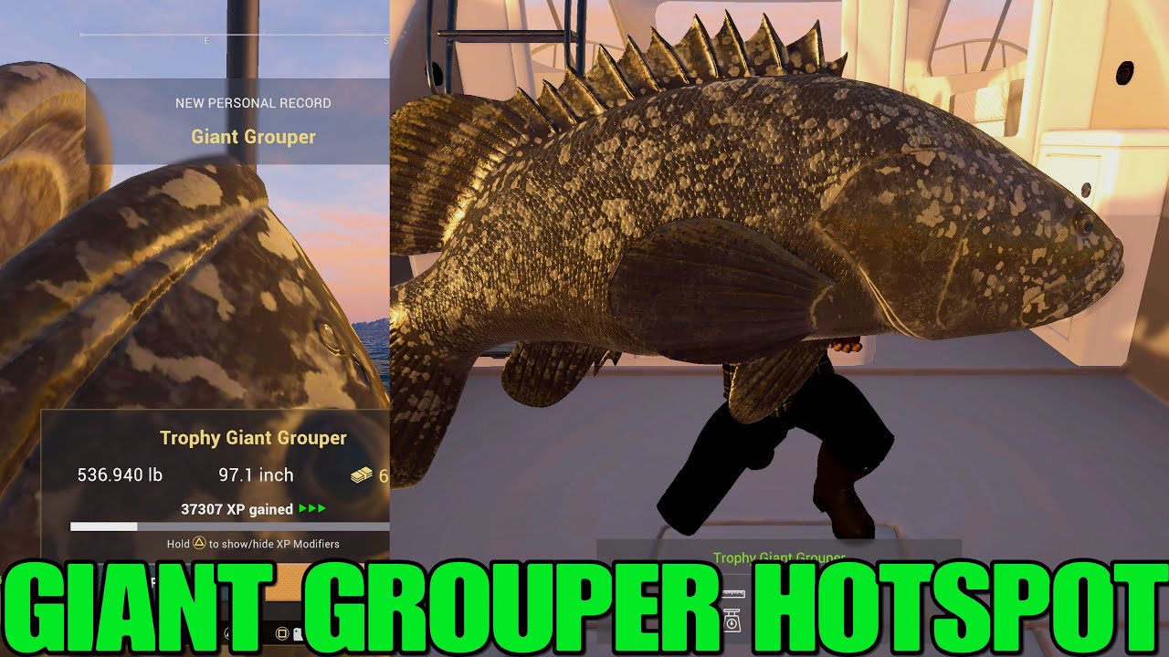 Trophy Giant Grouper Hotspot Guide - Kaiji No Ri - Fishing Planet - YouTube