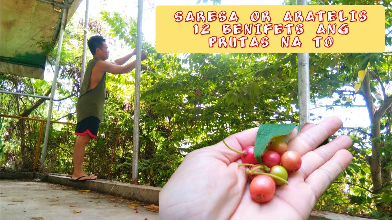 SARESA or ARATELIS 12 BENIFETS ANG kayang Maibigay sa ating katawan ang ...