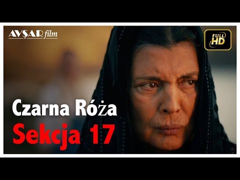 Czarna Róża - Sekcja 17