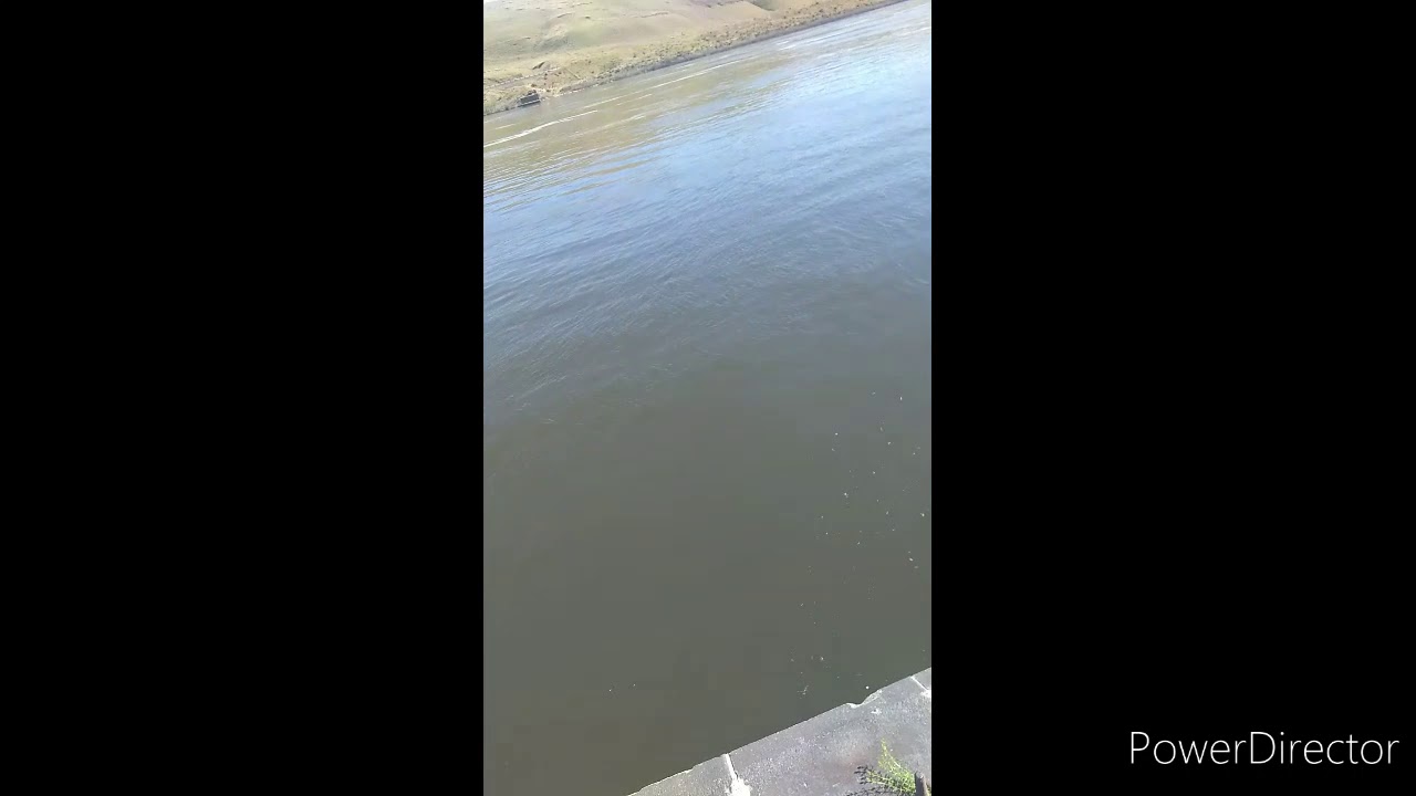 Riparia campground Washington Fishing and camping 2020 memorial weekend ...