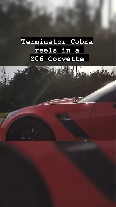 ‘03 COBRA VS C7 Z06! - YouTube