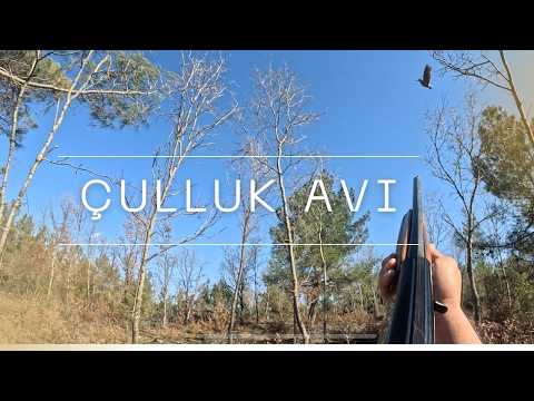 2025-2026 Çulluk Avı Part-2 #вальдшнеп #Μπεκάτσα #woodcock #beccaccia