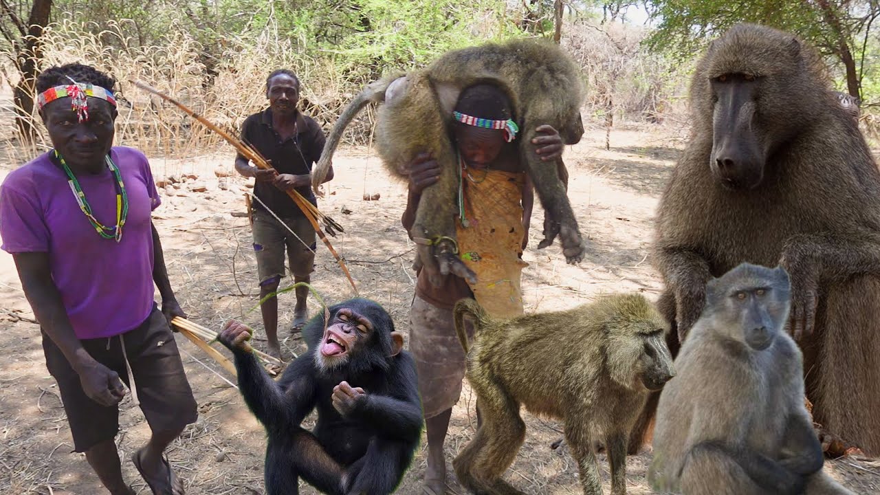 BABOON HUNT ON CHRISTMAS DAY! How Hadzabe Hunters Successfully Hunt a ...
