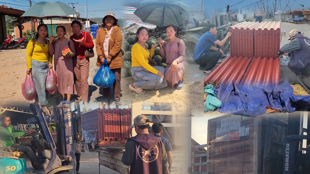 Yuav dib liab thiab los thauj vuas von tsev 6 lawv - YouTube