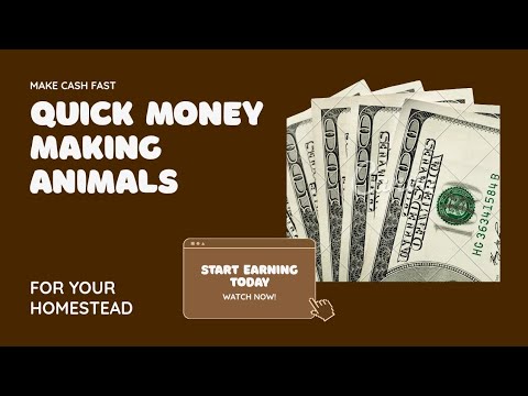7 African High PROFIT ANIMAL FARMING for homestead in2025 - YouTube