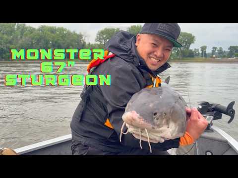 The Thrill of Catching a Monster Sturgeon!