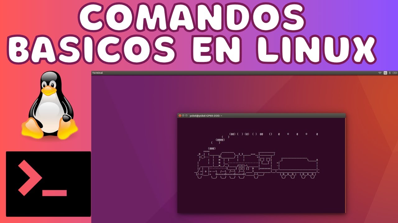 APRENDE LOS COMANDOS ESENCIALES EN LINUX | Curso de Linux parte 3 - YouTube