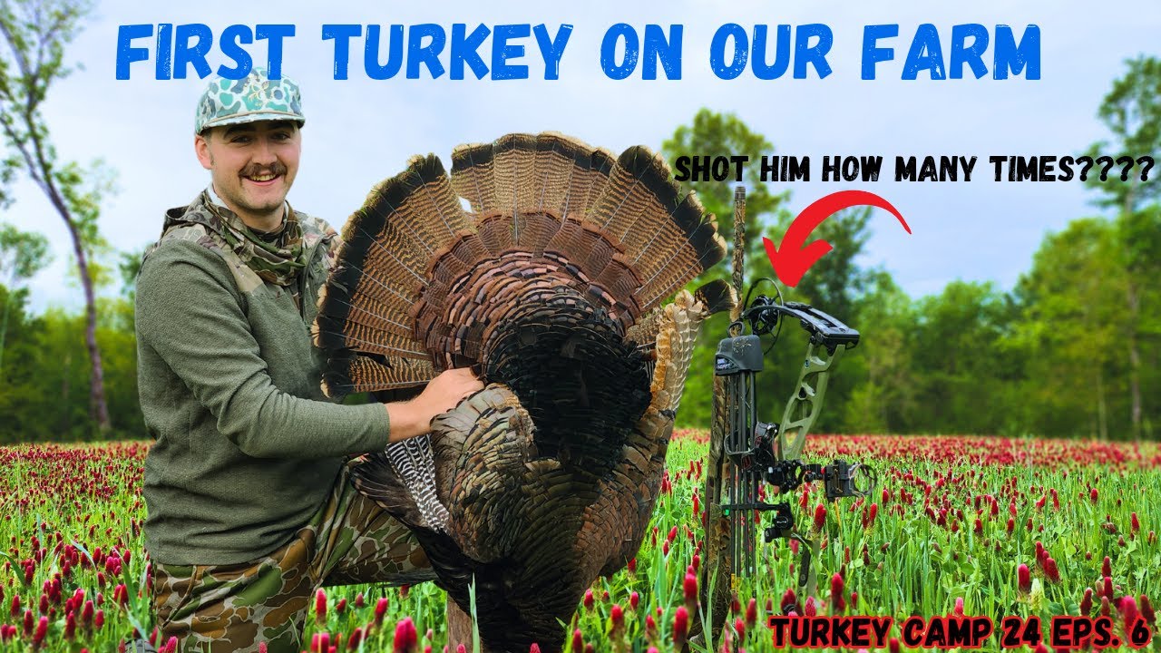 Bringing a shotgun for back up was a great idea! first turkey on our ...