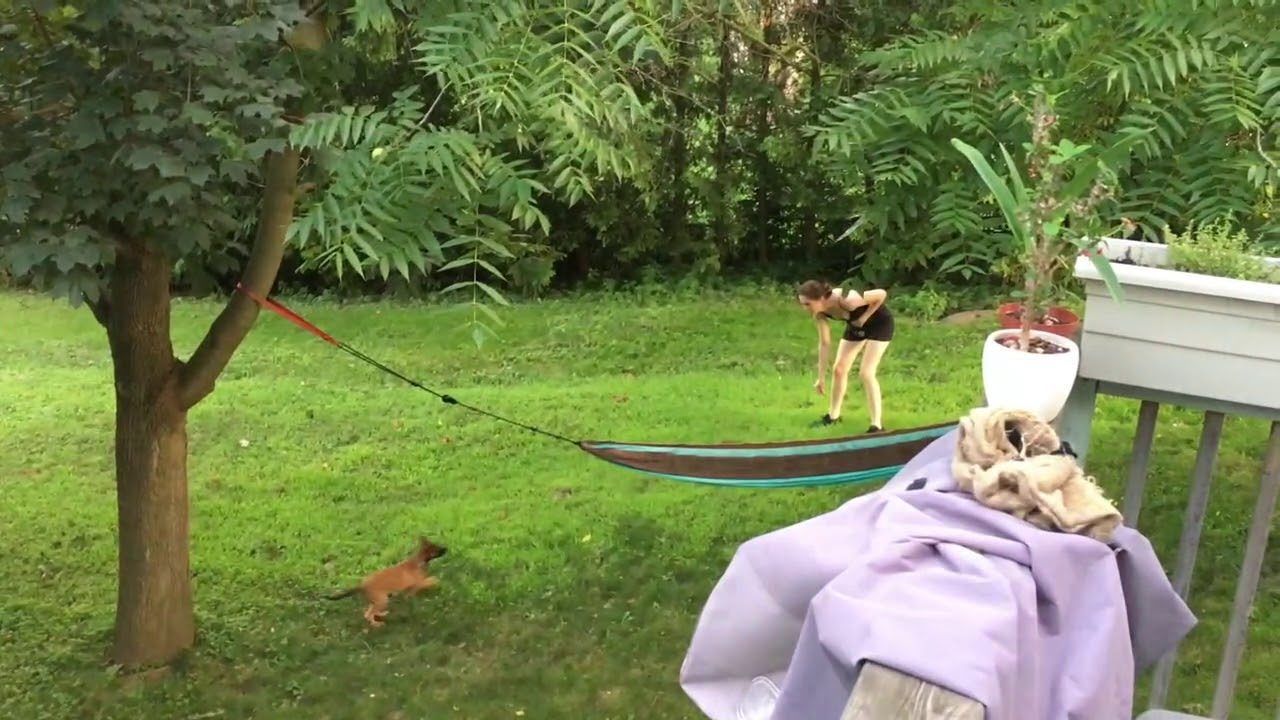 Hannah and Samson July 30 - YouTube