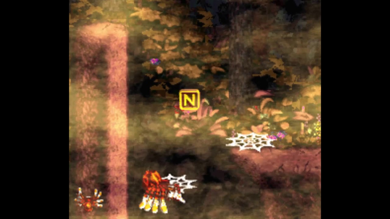 Donkey Kong Country 2: Diddy's Kong Quest- Web Woods (Bonus Coins + DK ...