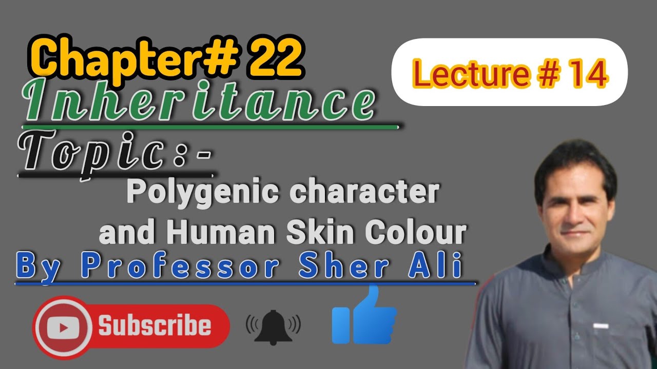 polygenic characters and Human skin colour class 12th chapter 22nd by ...