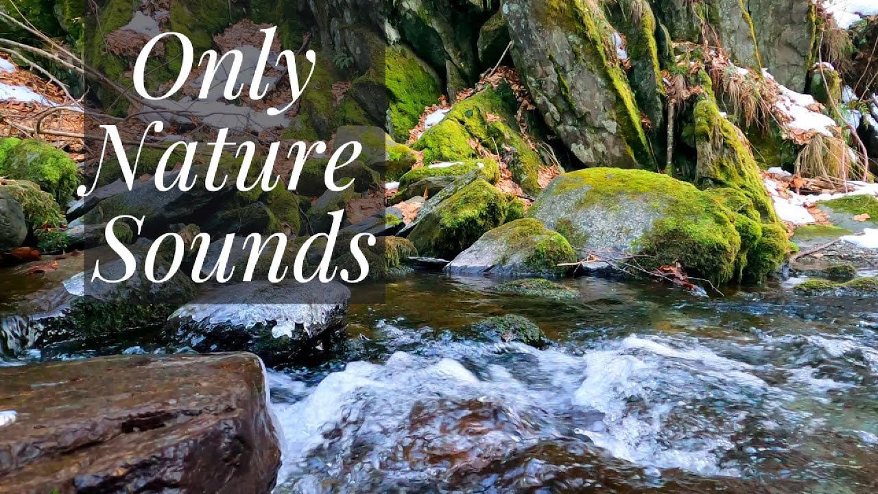 Only Nature Sounds - 2 hours of relaxing healing nature sounds - YouTube