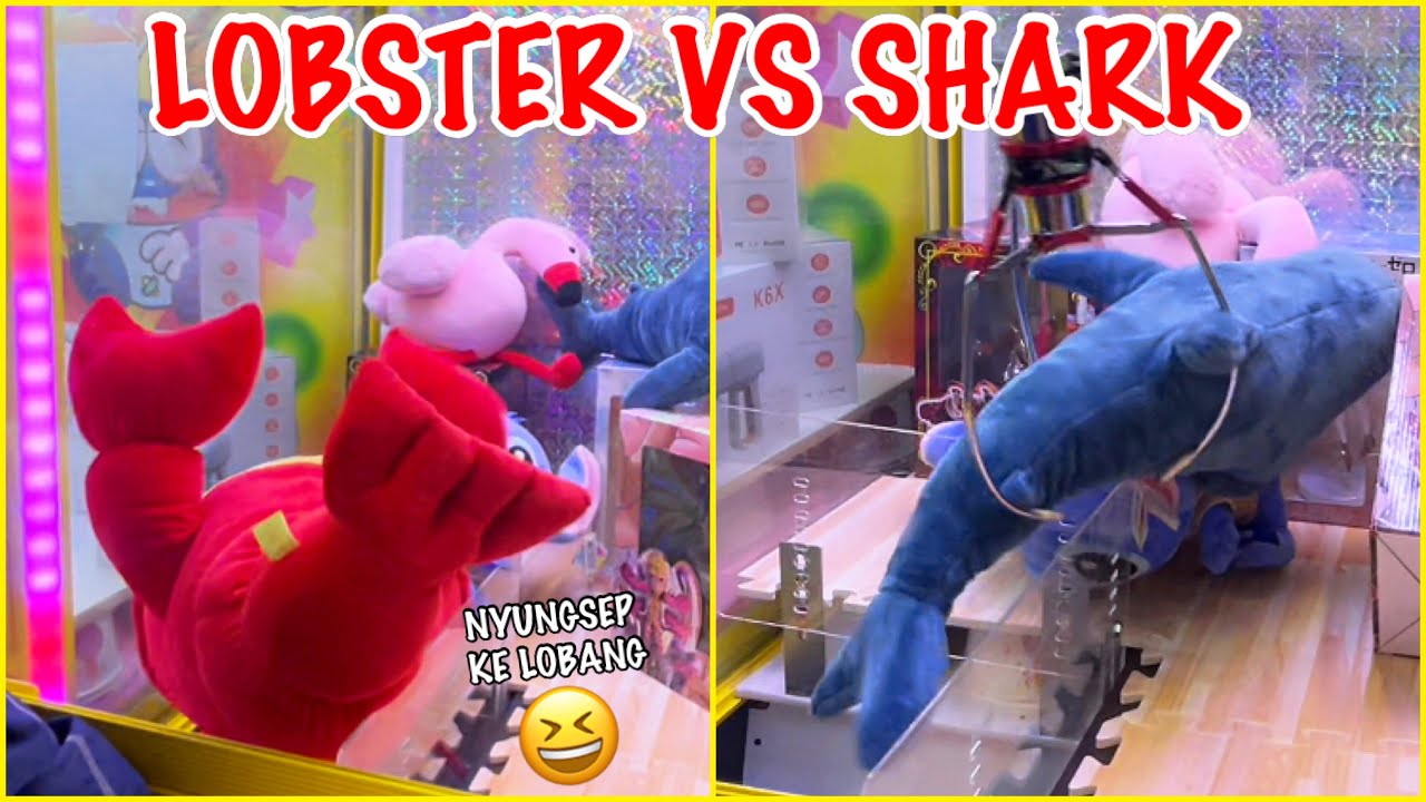 LOBSTER VS SHARK , CLAW MACHINE , 夾娃娃 - YouTube