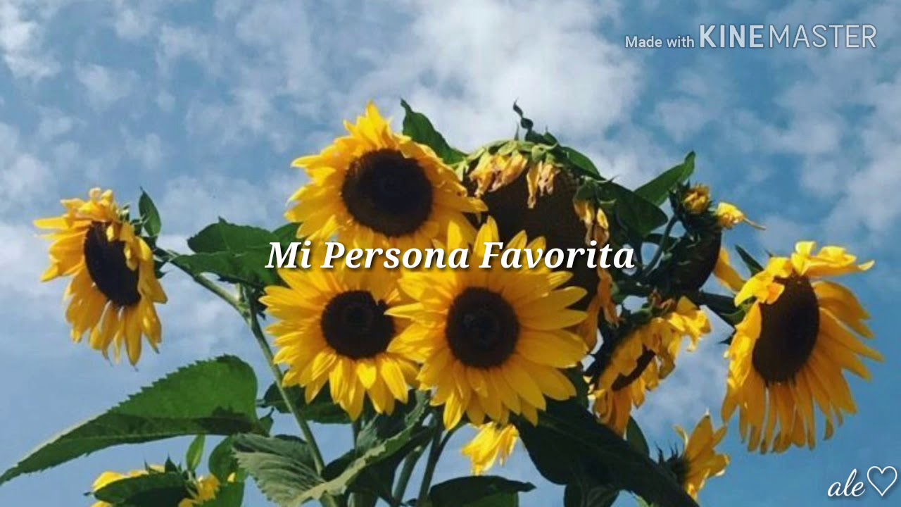 Alejandro Sanz, Camila Cabello Mi Persona Favorita Lyrics - YouTube