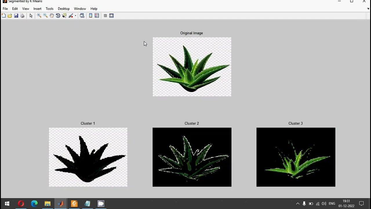 Identification of Ayurvedic Plants by leaf samples #machinelearning # ...
